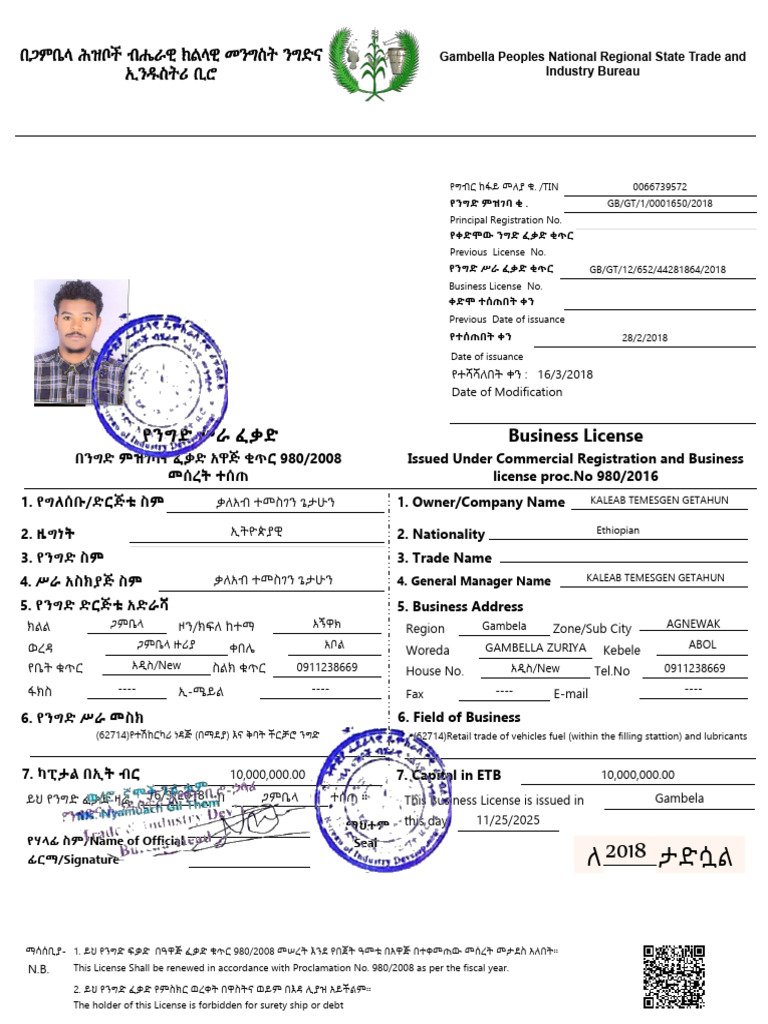 Kaleab Temsegne License | PDF