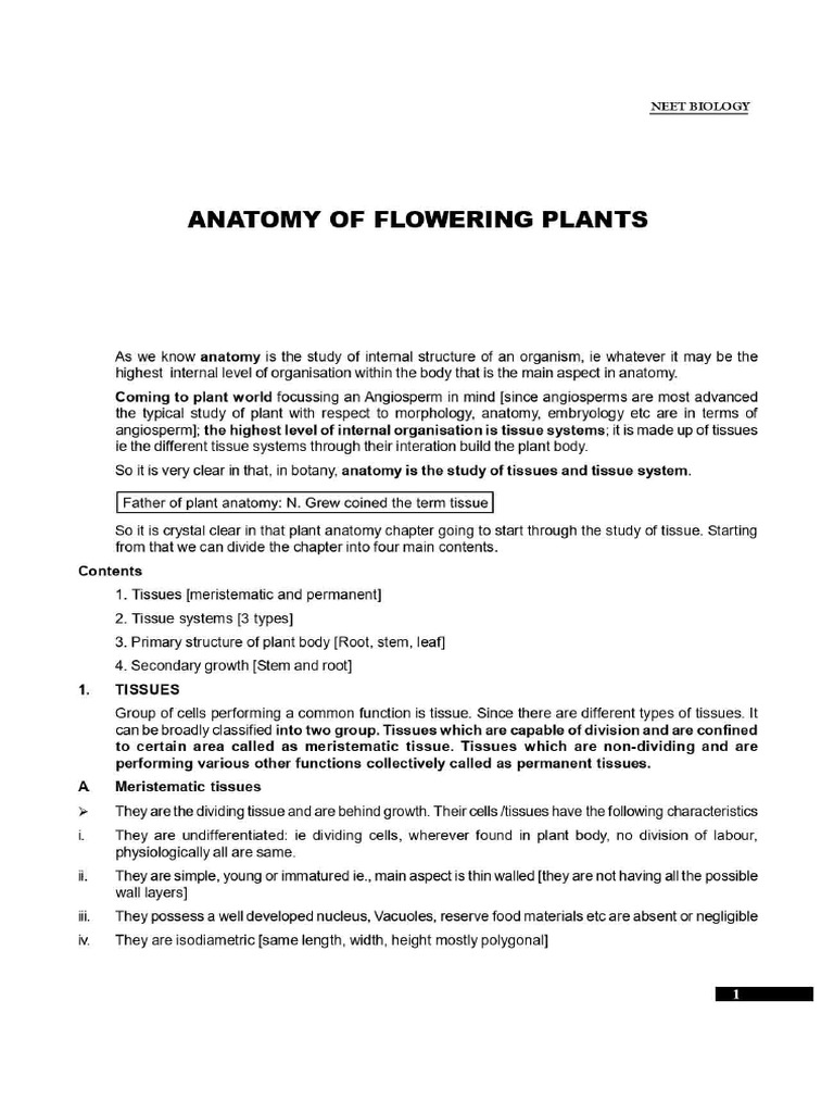 Anatomy of Flowering Plants (Lecture Note) | PDF