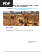 Gold Processing Flow Diagram | PDF | Economic Geology | Mining