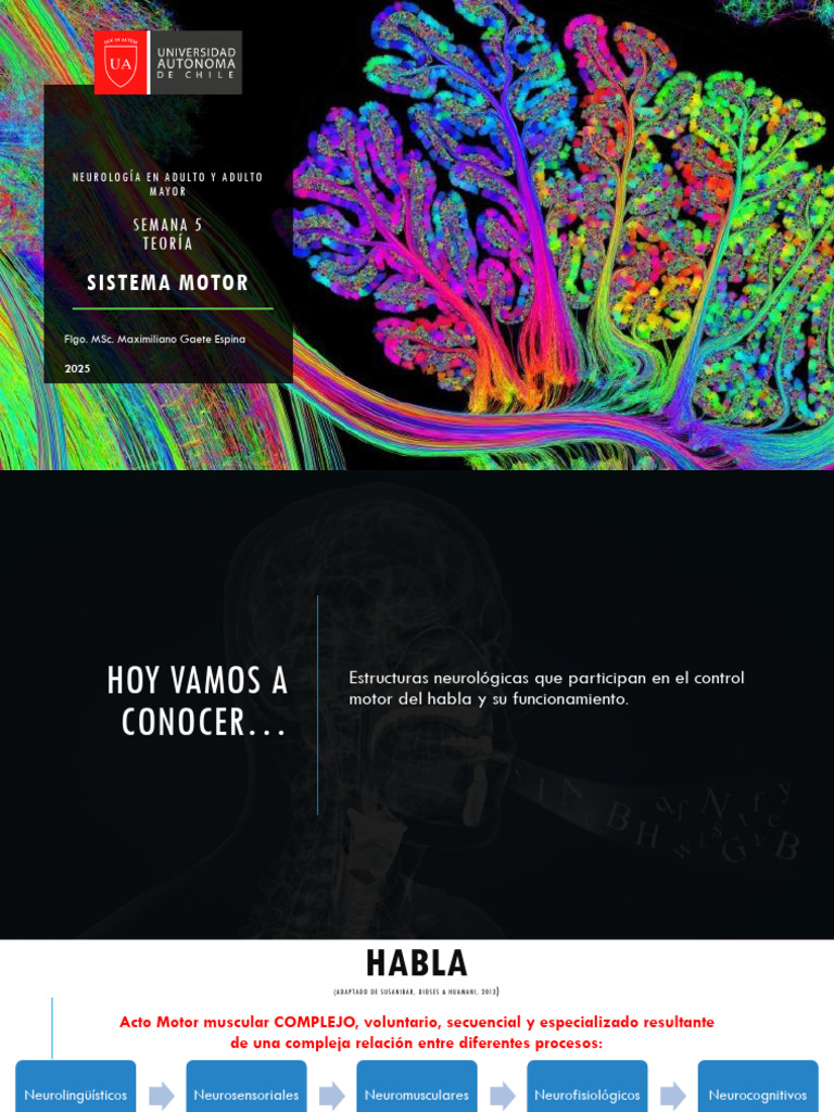 Semana+5 v%C3%ADas+Motoras Versi%C3%B3n+Estudiante | PDF | Neurona ...