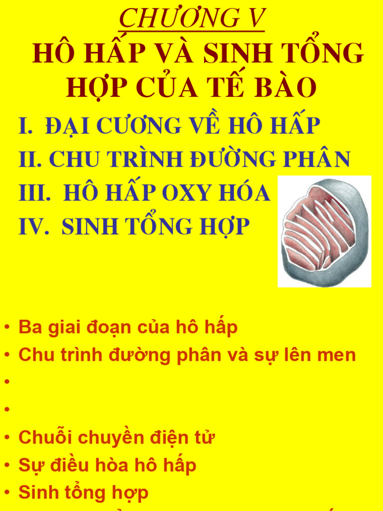 005 Ho Hap | PDF