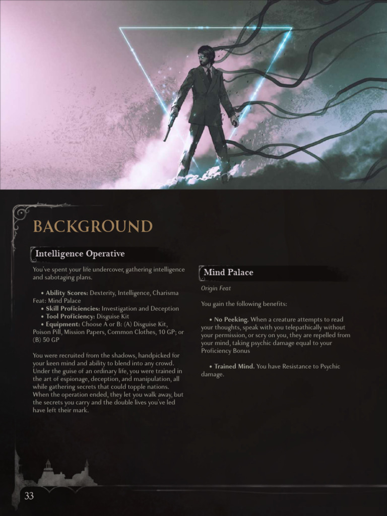 Intelligence Operative Background | PDF