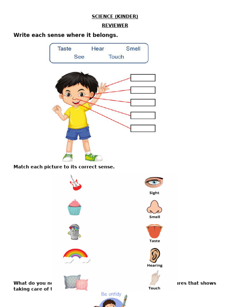 Science Reviewer Kinder - 2nd Quarter | PDF