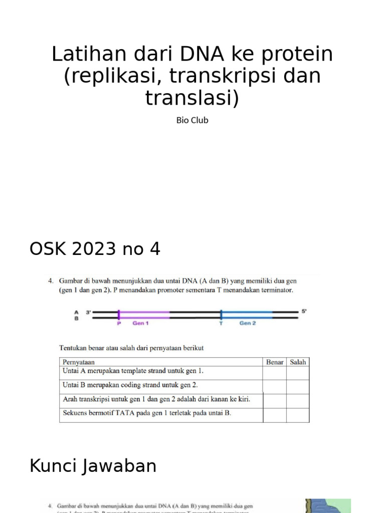 Proses DNA ke Protein: Replikasi & Transkripsi | PDF
