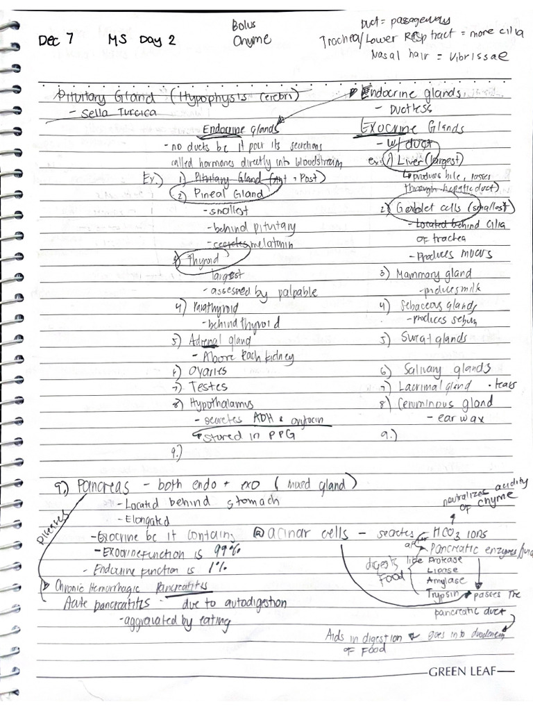 Day 2 Med Surg | PDF