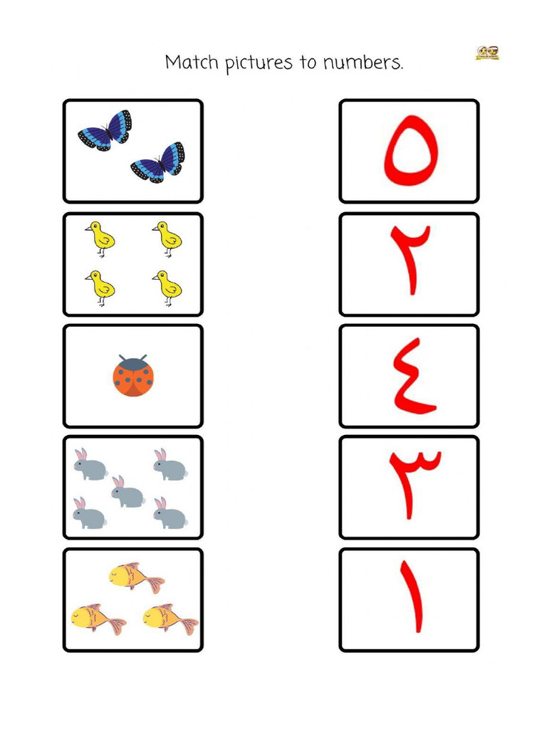 Assessment Arabic | PDF