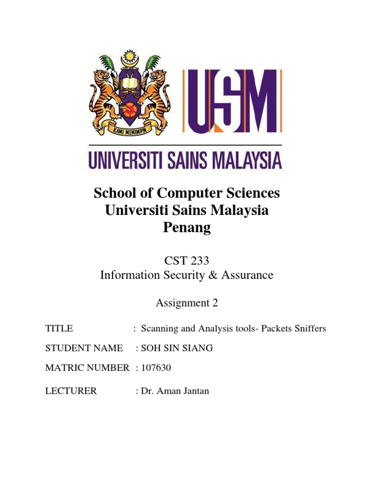 Scanning and Analysis Tools - Packets Sniffers | PDF | Computer Network ...