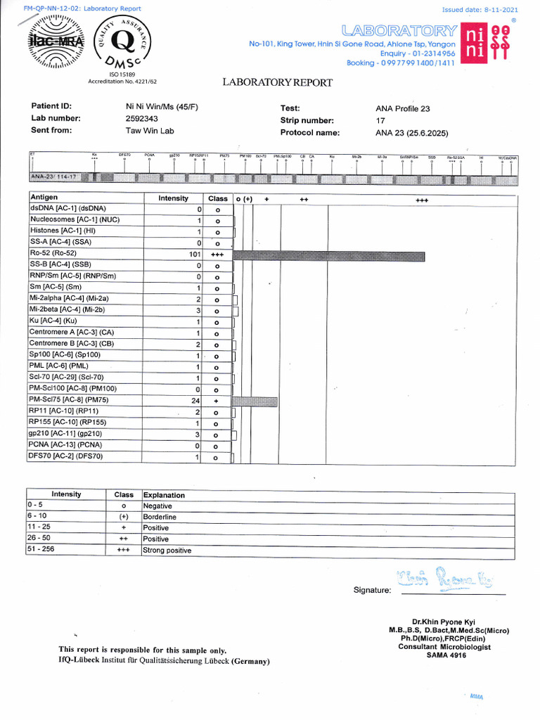 Laboratory Report: ANA Profile & Microbiology | PDF | Antibiotics ...