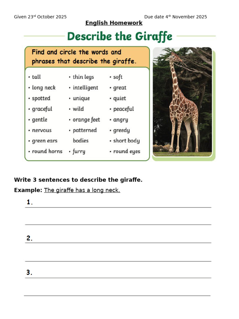 English Homework 23.10.2025 | PDF