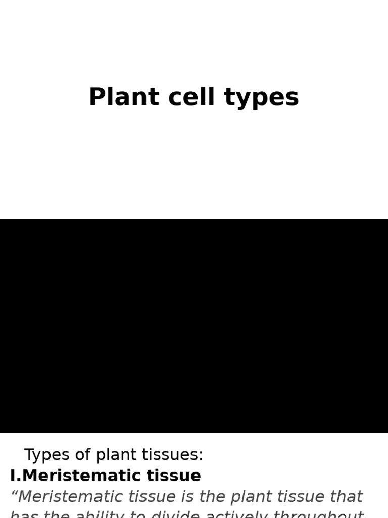 Types of Plant Cell Tissues Explained | PDF | Tissue (Biology) | Plant Stem
