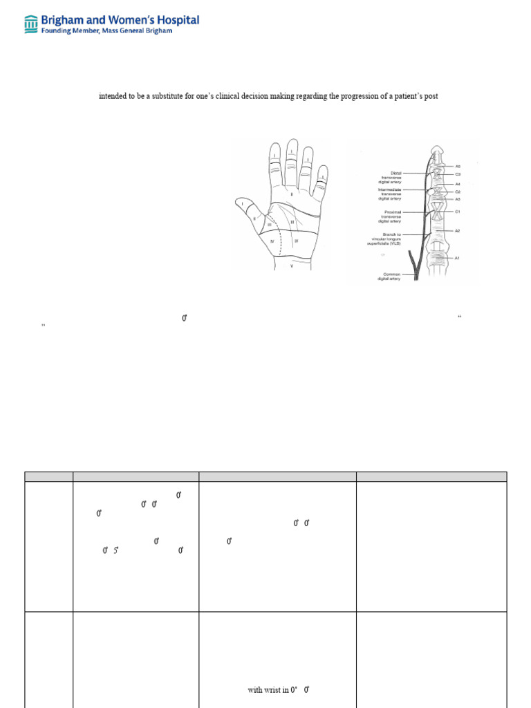 Flexor Tendon Repair Hand Therapy Protocol | PDF | Anatomical Terms Of ...