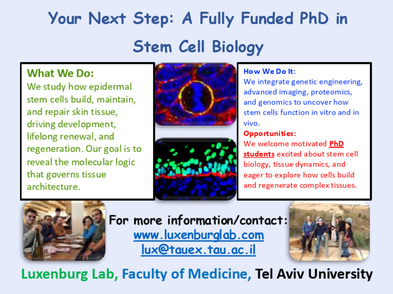 PHD Student 2511 Luxenburg Lab | PDF