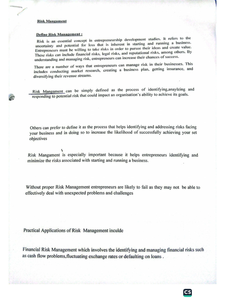 Risk Management | PDF