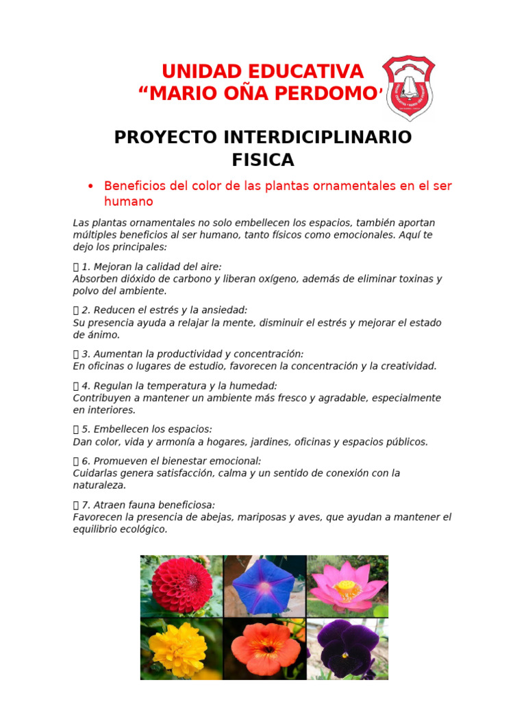 A Zaaa Aaaaaaaaaaaaaaa | PDF | Color | Amor