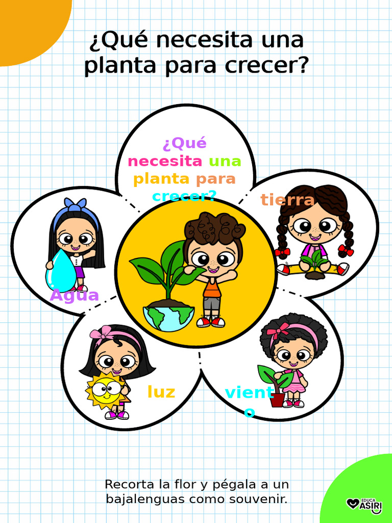 Recursos UD6 S1 - Qué Necesitan Las Plantas | PDF