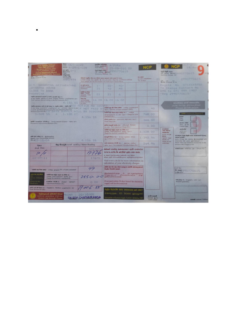 Light Bill | PDF