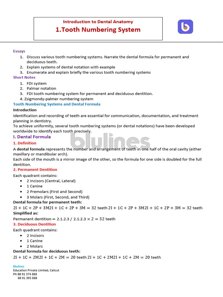1.tooth Numbering System | PDF | Tooth | Dental Anatomy