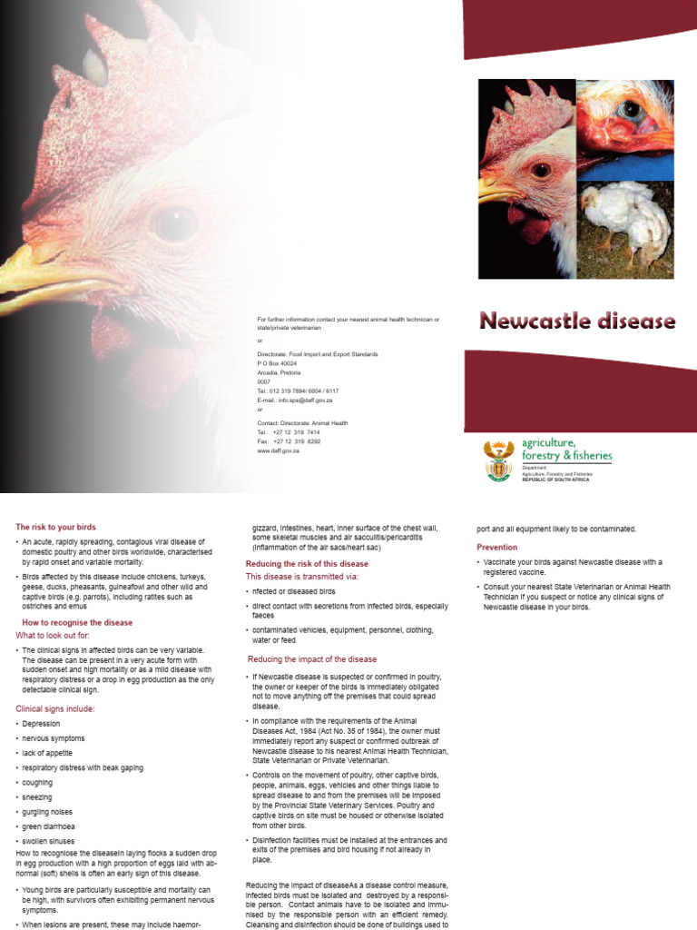 Newcastle Disease | PDF | Medical Specialties | Medicine