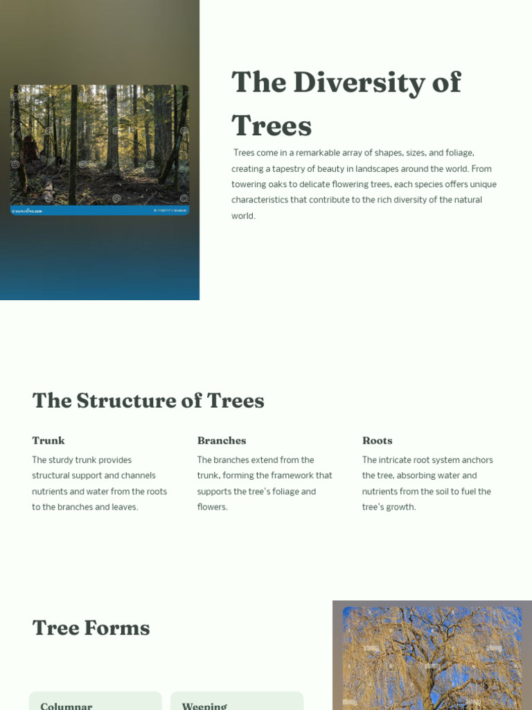 Understanding Tree Diversity and Structure | PDF | Shrub | Trees