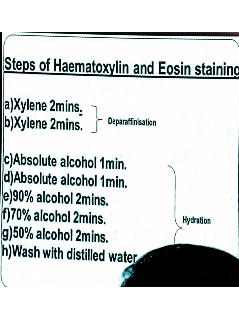 Steps of Staining Histology | PDF
