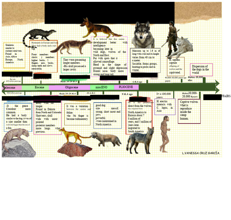 timeline of the origin of the dog, | PDF | Canidae | Zoology