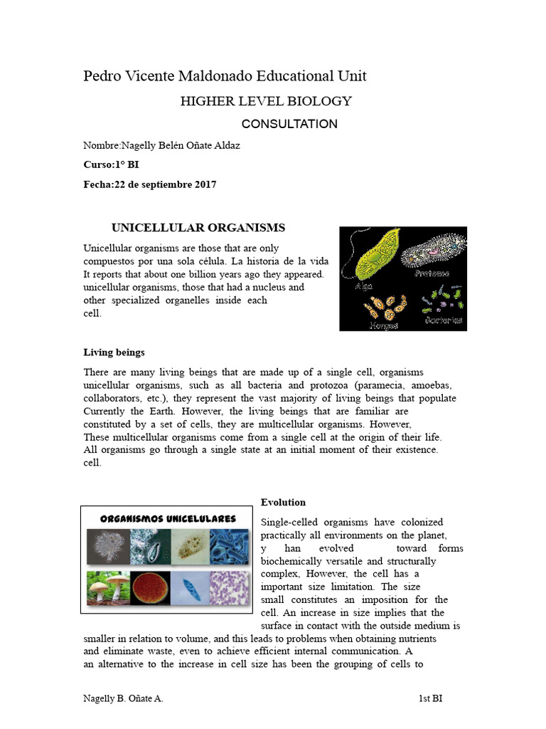 Consult unicellular and multicellular organisms. | PDF | Protozoa ...