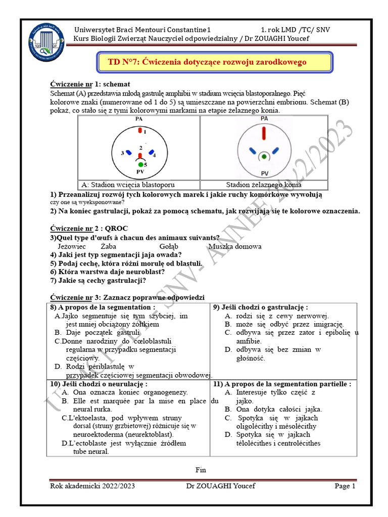 TD N°7-Ćwiczenia Z Rozwoju Zarodkowego DR - ZOUAGHI YOUCEF UFMC1 | PDF