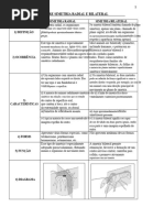 Simetria Corporal em Animais | PDF | Sistema nervoso | Corpo humano