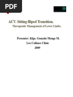 Lower Extremity Functional Scale (Spanish) | PDF