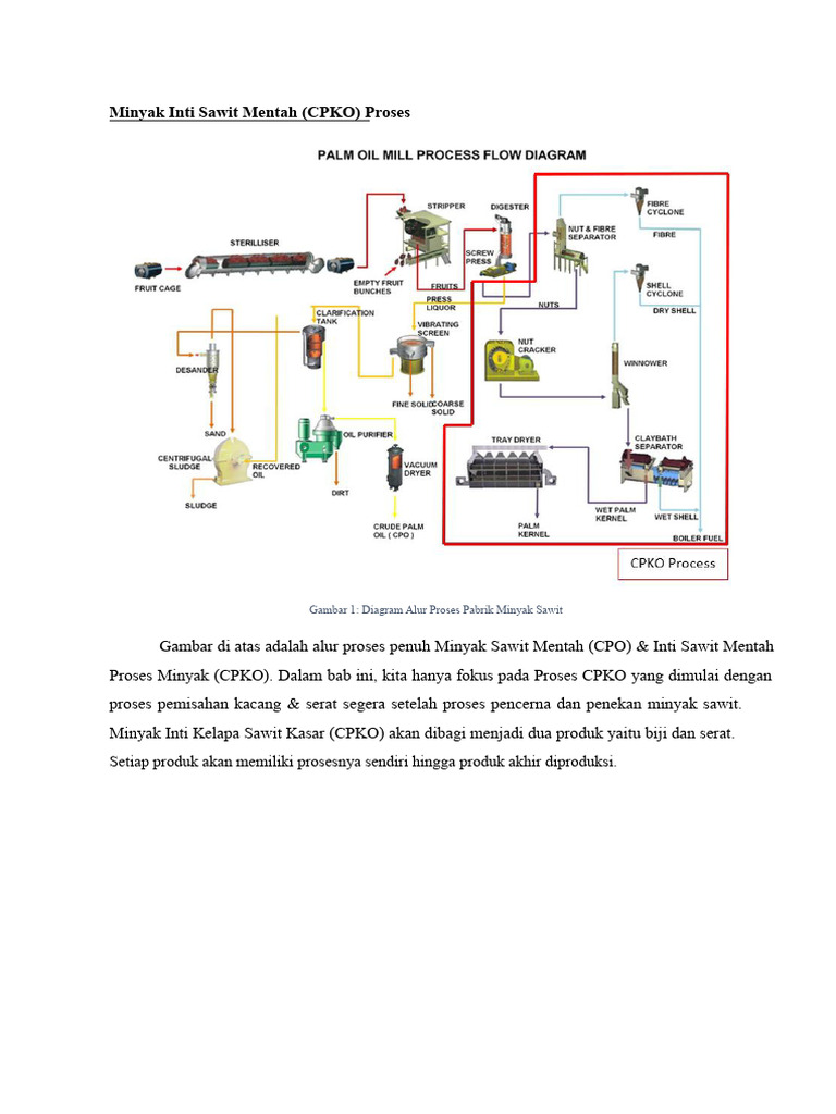Proses Minyak Inti Sawit Kasar (CPKO) | PDF