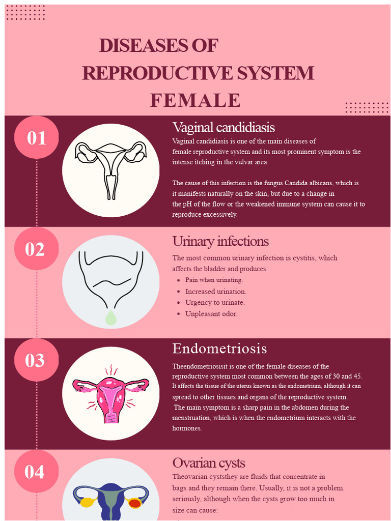 Diseases of The Female Reproductive System | PDF