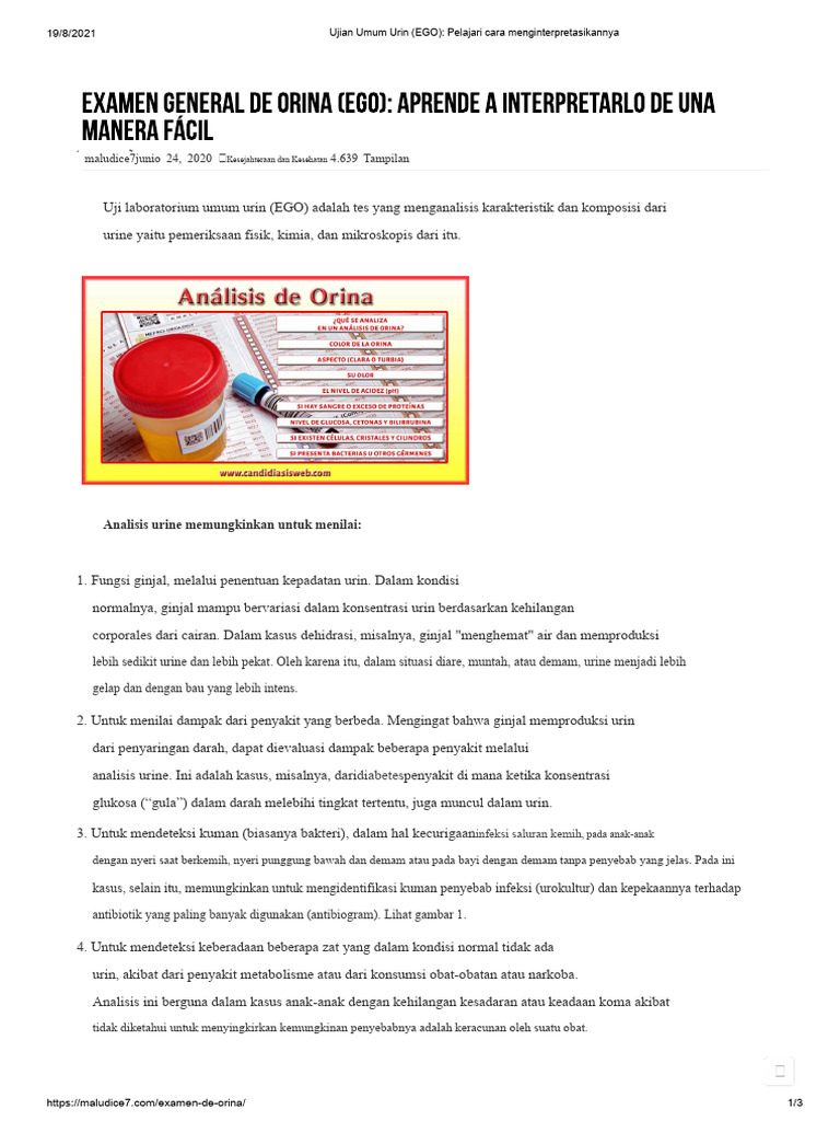Interpretasi Uji Urin Umum (EGO) | PDF