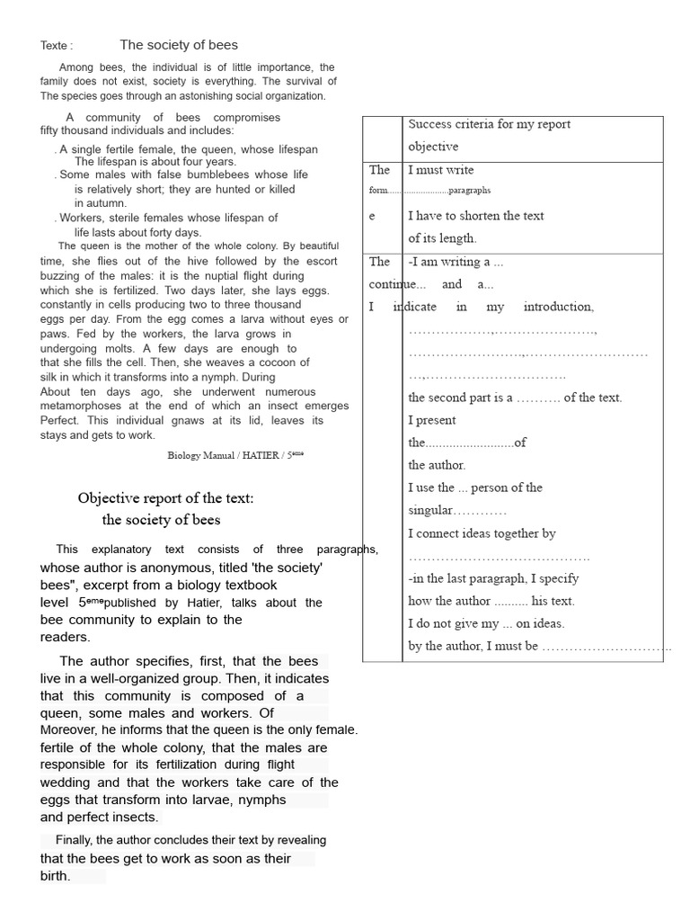 Objective Report Technique | PDF | Bees | Bumblebee