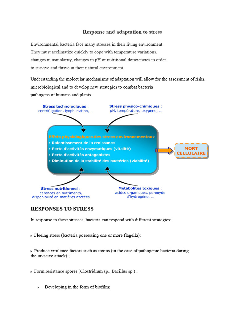 Response and adaptation to stress | PDF | Chaperone (Protein) | Bacteria