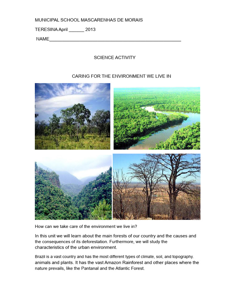 Science Activity 1 | PDF | Deforestation | Amazon Rainforest