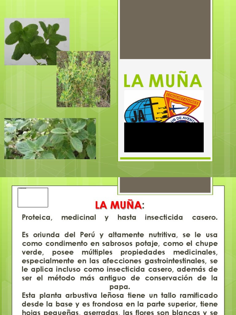 La Muña | PDF