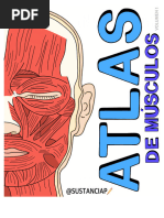 Anatomia Swini Atlas Interaktywny | PDF