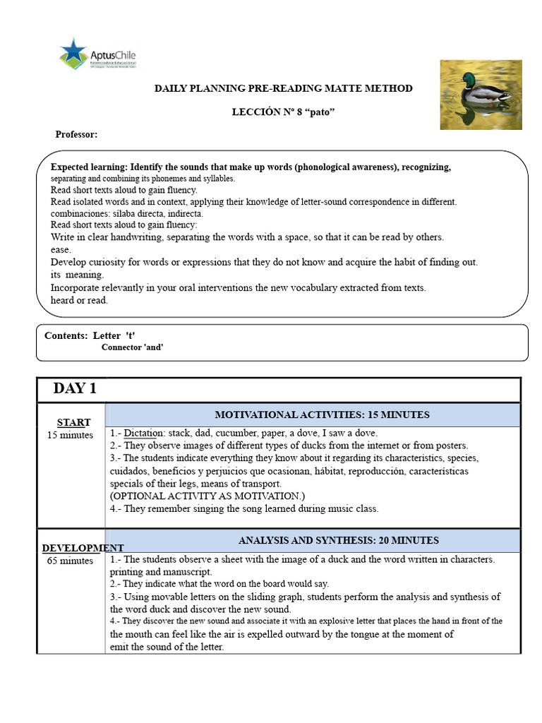 Lesson Duck | PDF | Human Communication | Writing