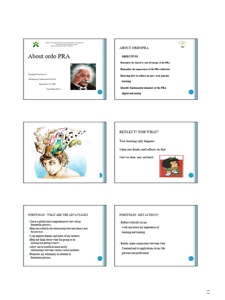 Reflective Portfolio Guidelines for EFA | PDF | Learning | Knowledge