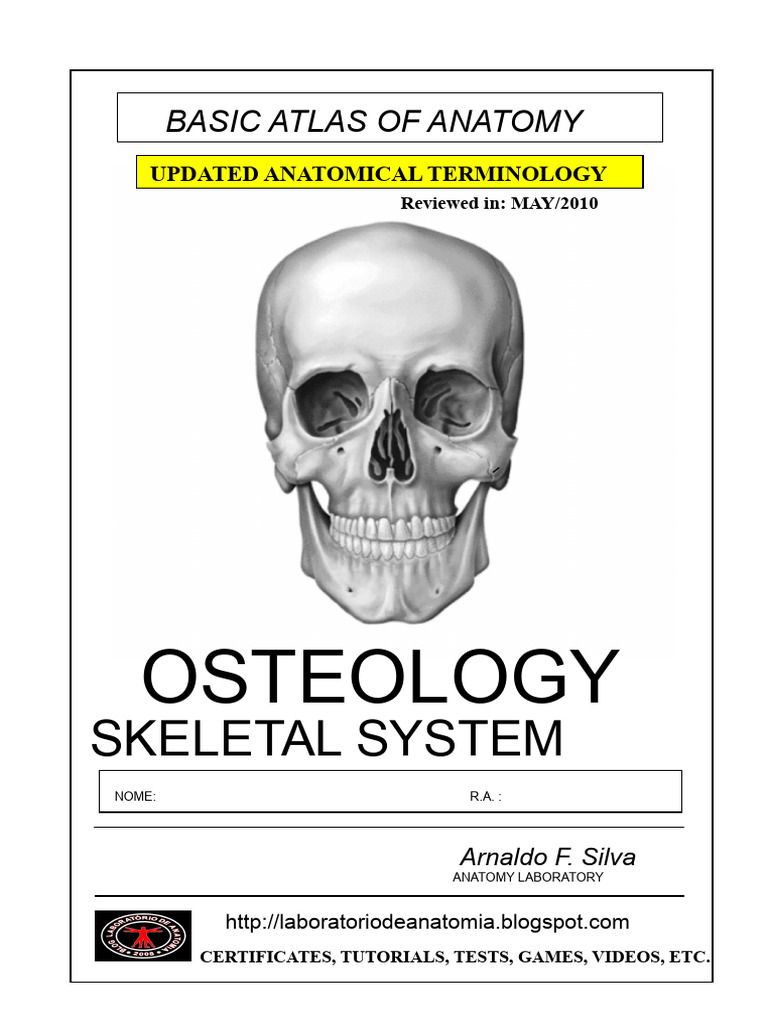 Anatomy Laboratory Guidelines and Osteology | PDF | Vertebra | Skull