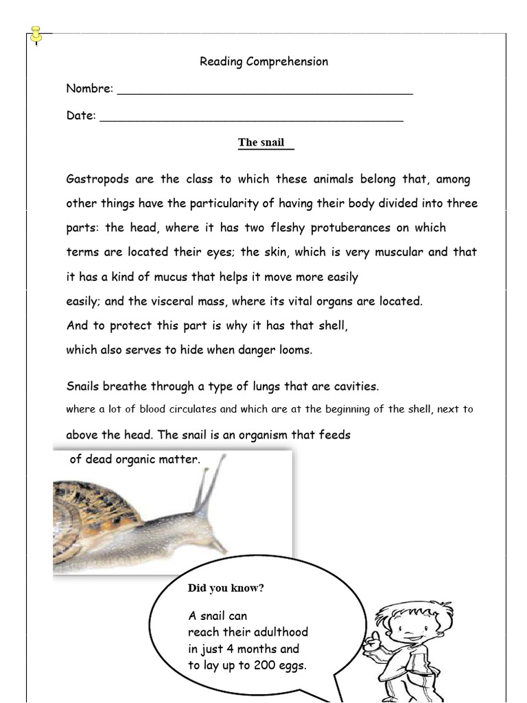 Snail Facts and Reading Comprehension | PDF