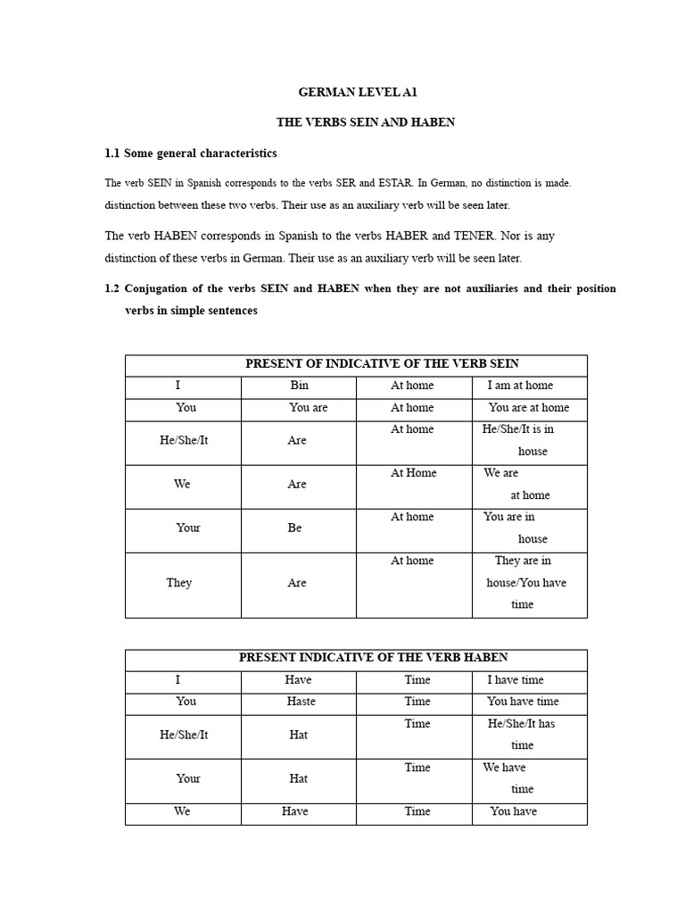 TOPIC 2_VERBS SEIN AND HABEN | PDF | Grammatical Conjugation | Verb