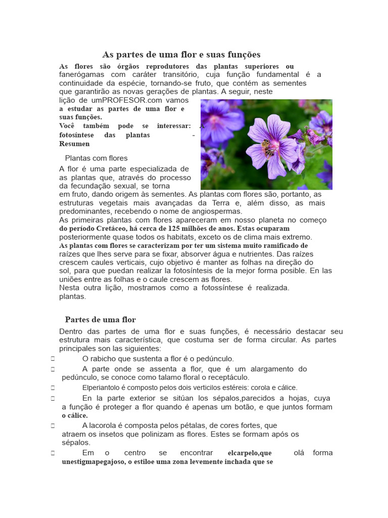 As partes de uma flor e suas funções | PDF | Flores | Pólen