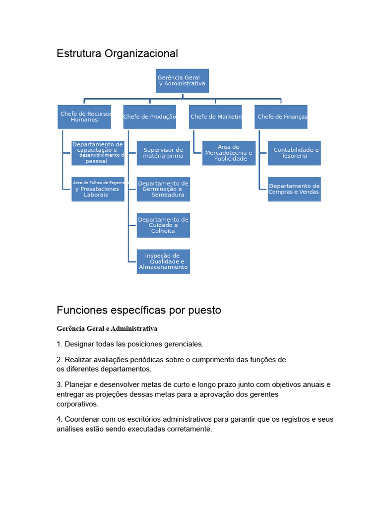 Organograma da empresa | PDF | Contabilidade | Publicidade