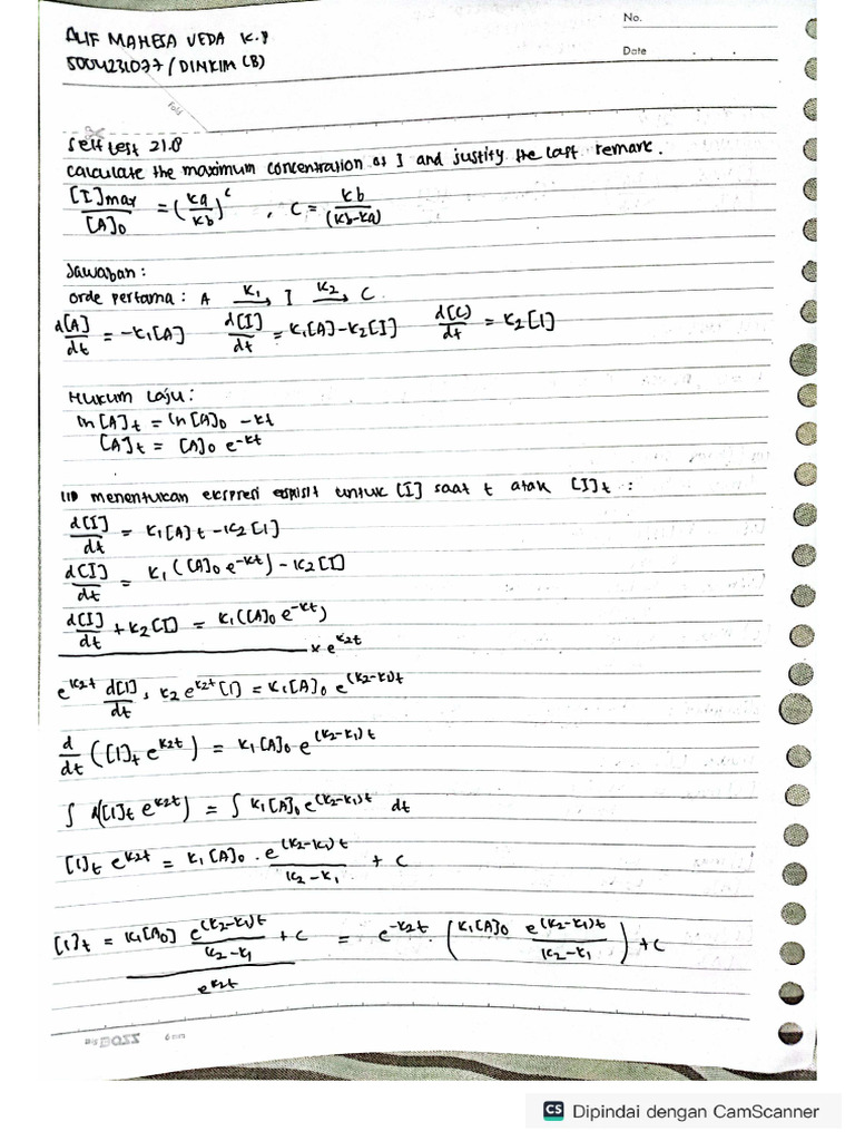 Tugas Dinkim Online | PDF