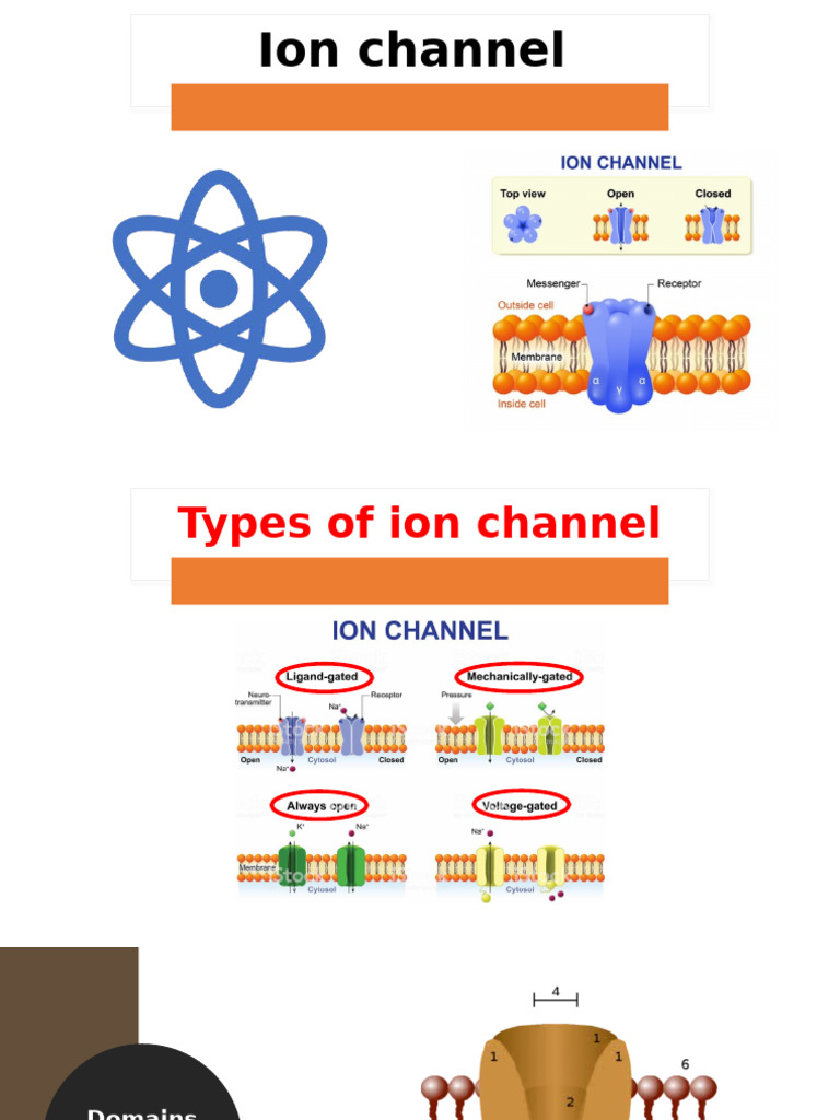 Overview of Ion Channel Types and Structures | PDF