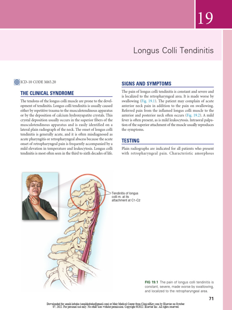19 - Longus Colli Tendinitis | PDF | Injection (Medicine) | Neck