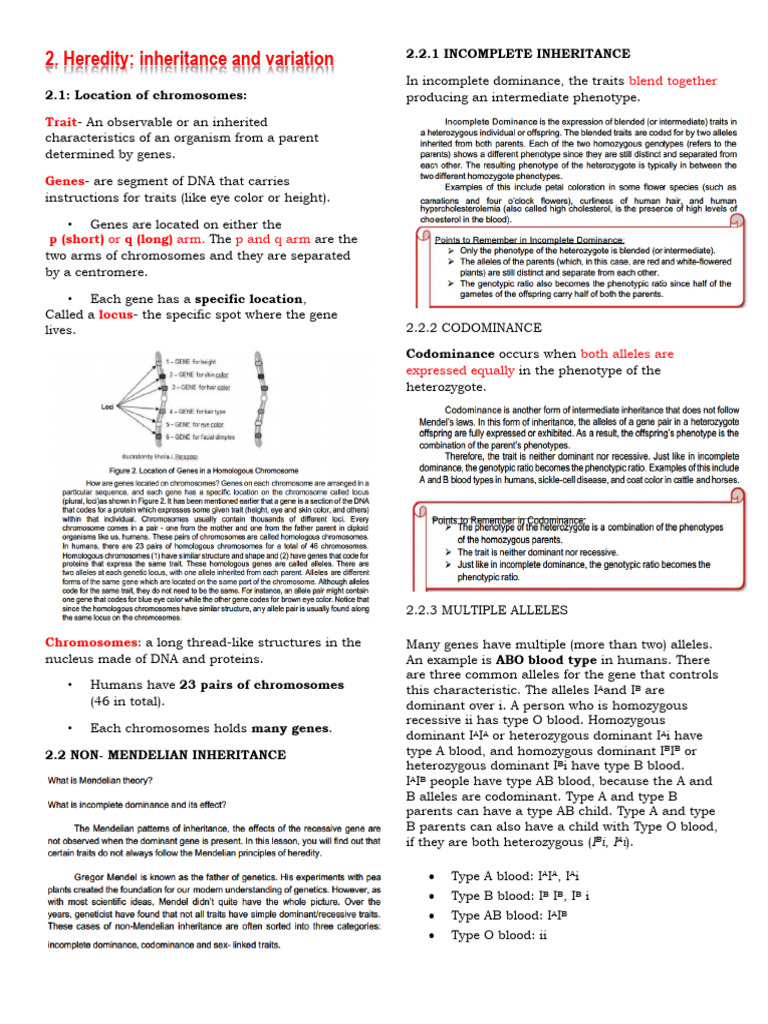 Heredity Inheritance and Variation Notes | PDF | Dominance (Genetics ...