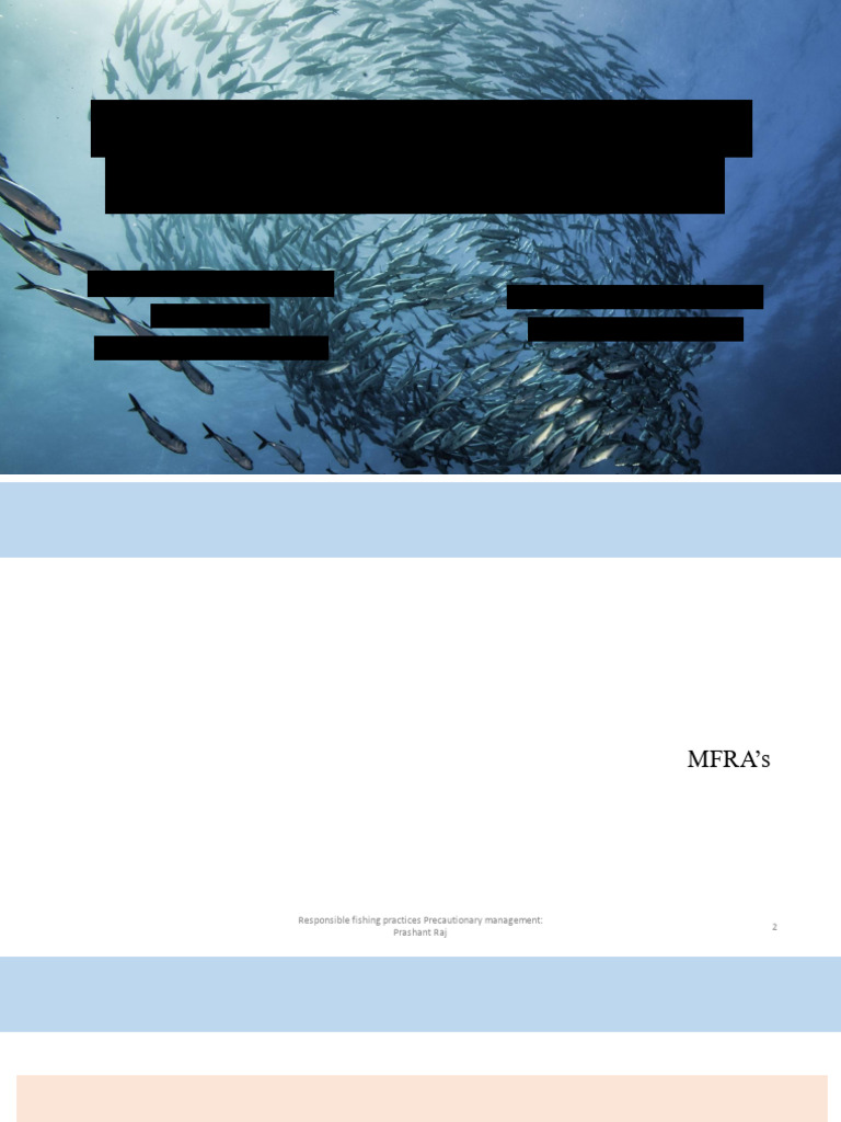 Responsible fishing practices Precautionary management_ | PDF | United ...
