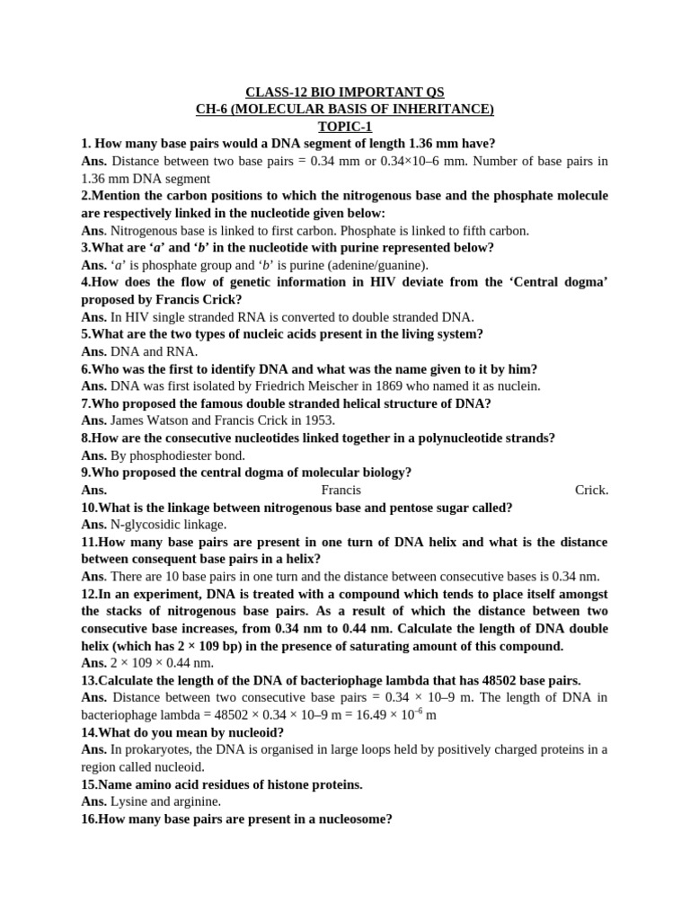 Class 12 Molecular Inheritance Key Questions | PDF | Dna | Nucleotides